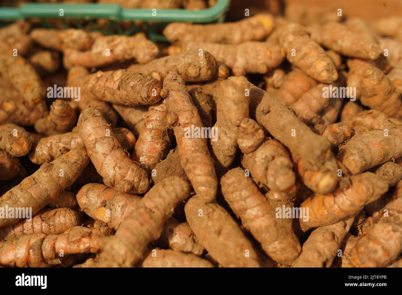 Turmeric. Turmeric is one of the main ingredients used in most Asian ...