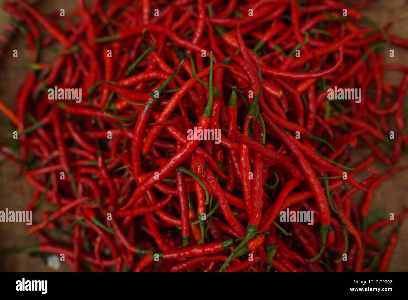 Lots of green chilies hi-res stock photography and images - Alamy