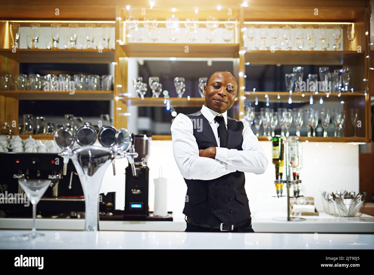 Master of his domain. a well-dressed bartender standing behind the ...