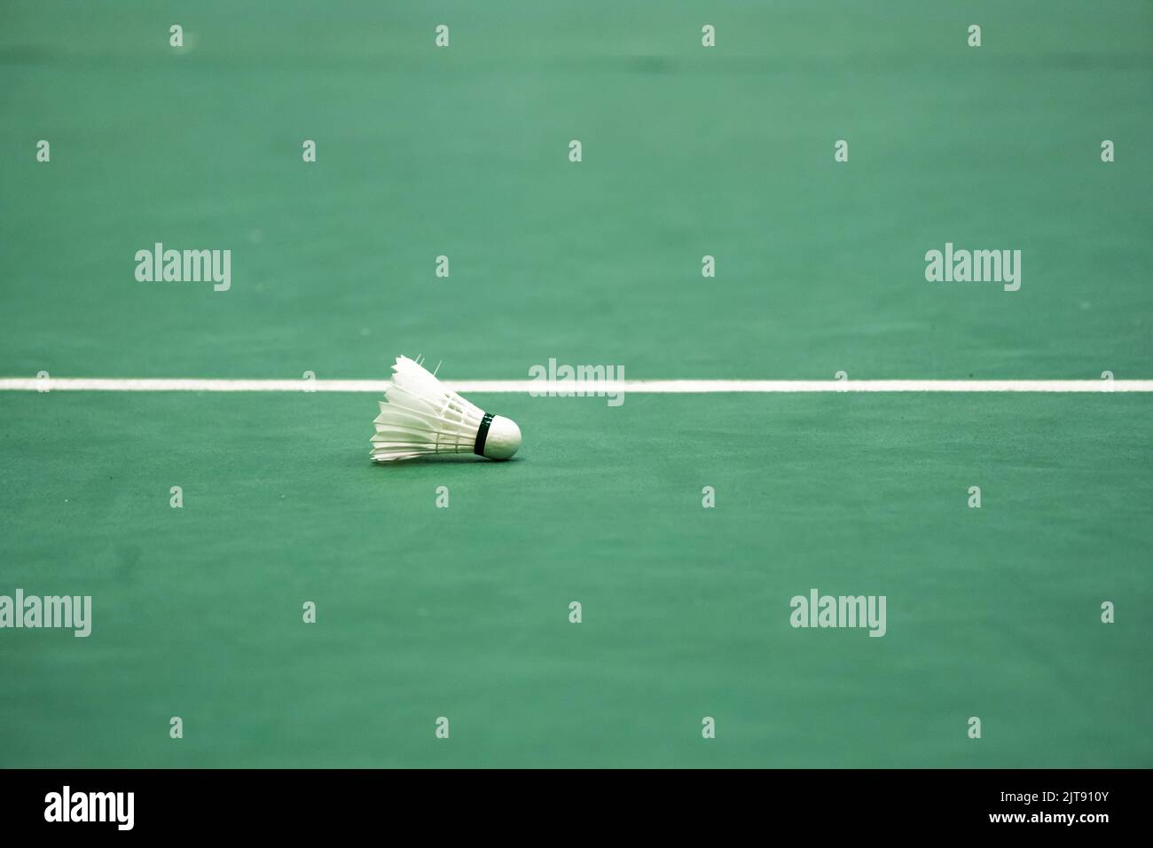 Shuttlecocks badminton White cream color on green floor of indoor ...