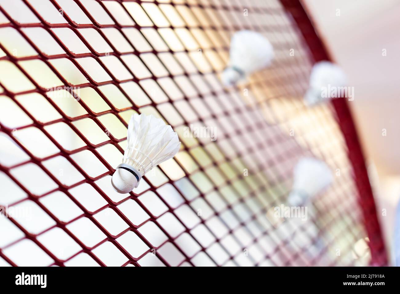 Shuttlecocks were stuck to the badminton steel grill net with a big red ...