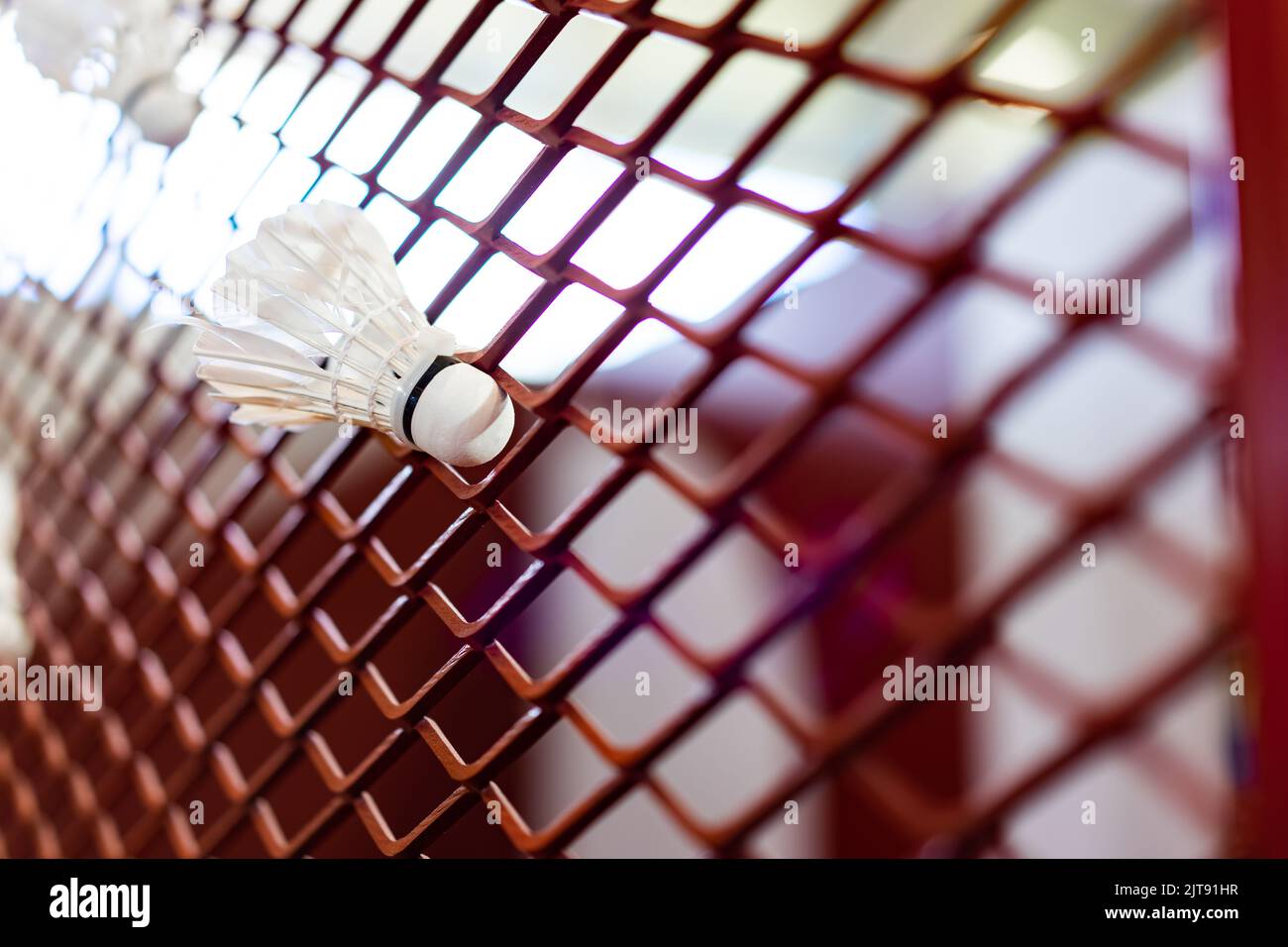 Shuttlecocks were stuck to the badminton steel grill net with a big red ...