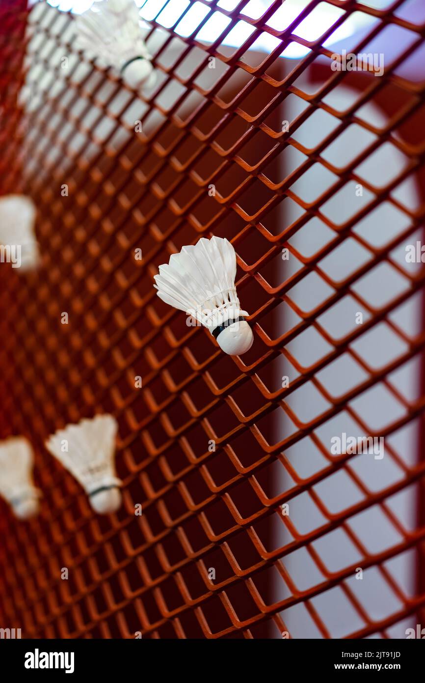 Shuttlecocks were stuck to the badminton steel grill net with a big red ...