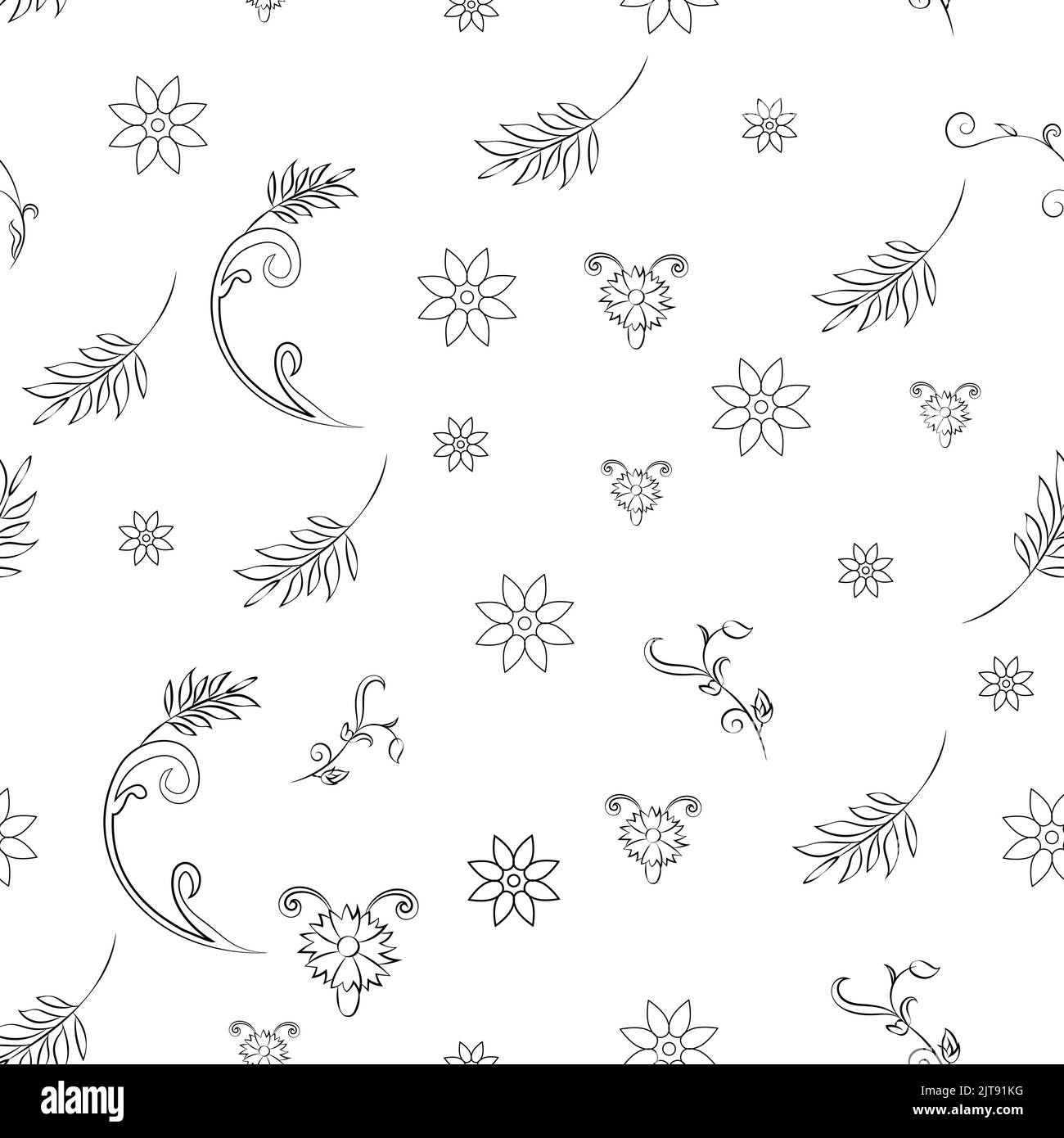 Seem Less Pattern Floral Outline Seemless Pattern Black White Beautiful