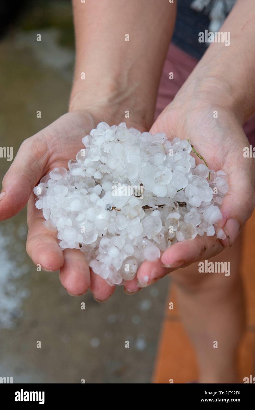 Woman hands holding hail stones in the garden after storm in the summer ...