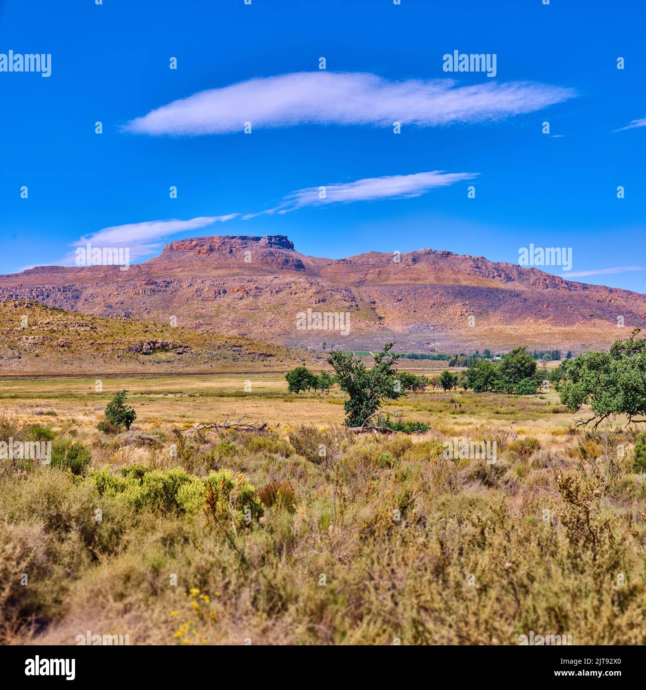 Cedarberg Wilderness Area - South Africa Stock Photo - Alamy