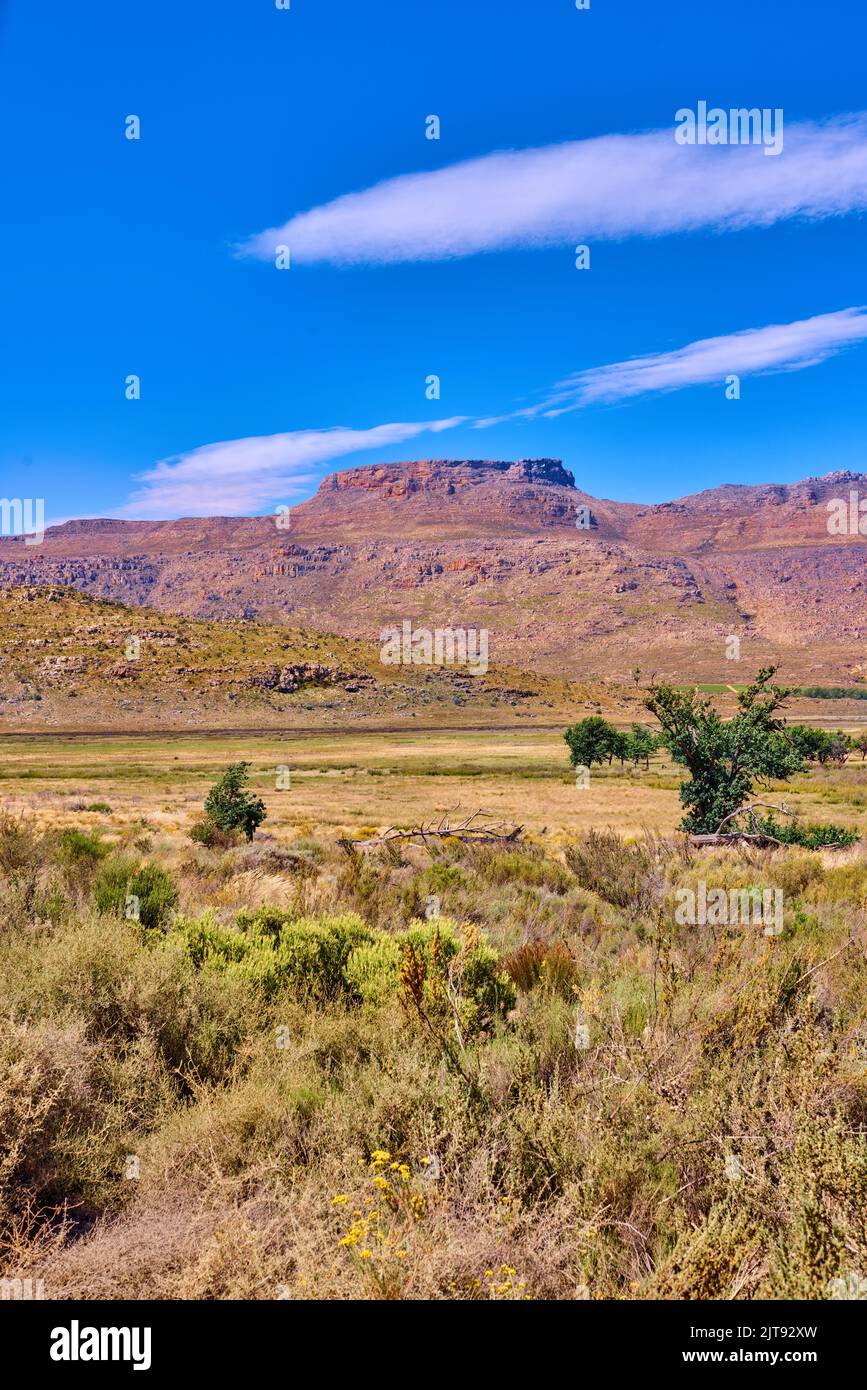 Cedarberg wilderness area hi-res stock photography and images - Alamy