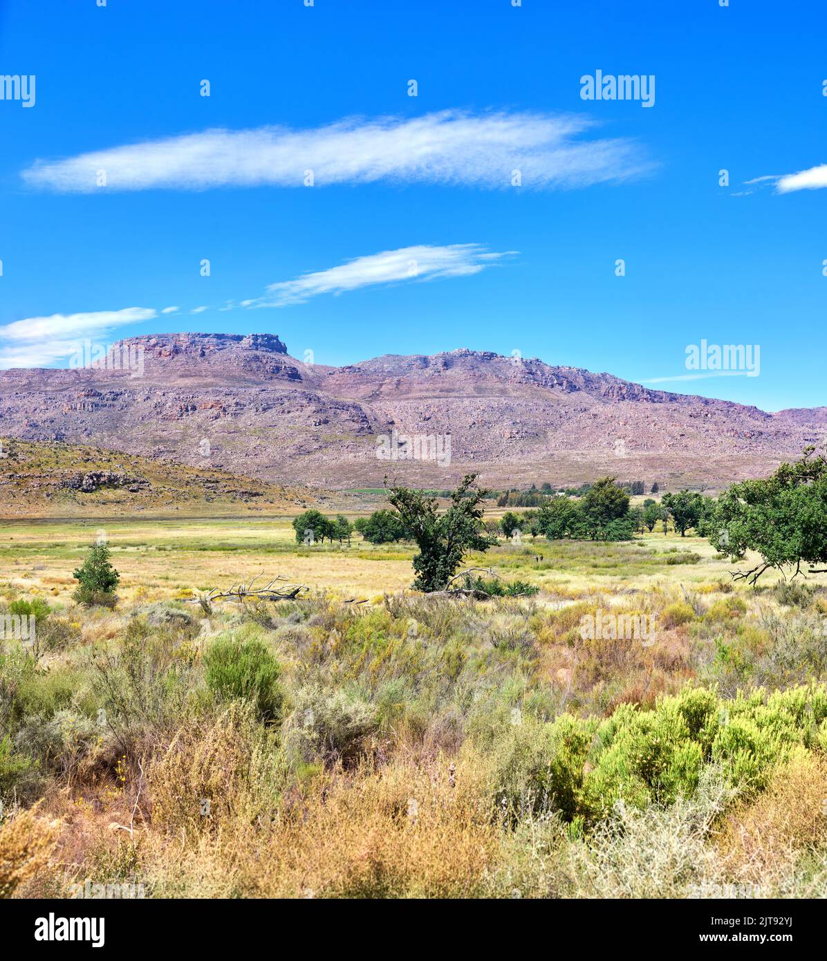 Landscape in Cederberg nature reserve, South Africa Stock Photo - Alamy