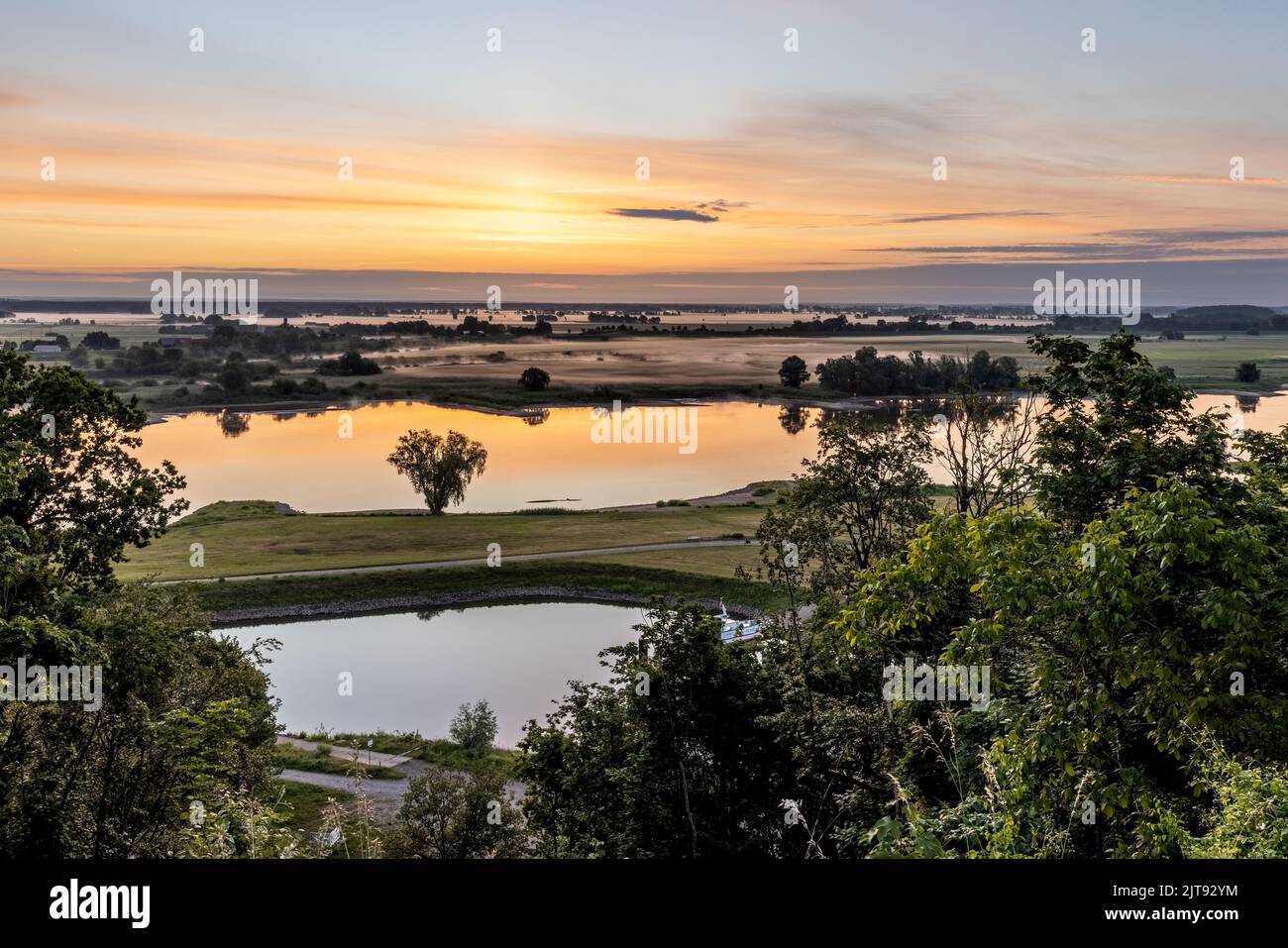 A scenic view of a reflective river and a foggy field with trees at ...