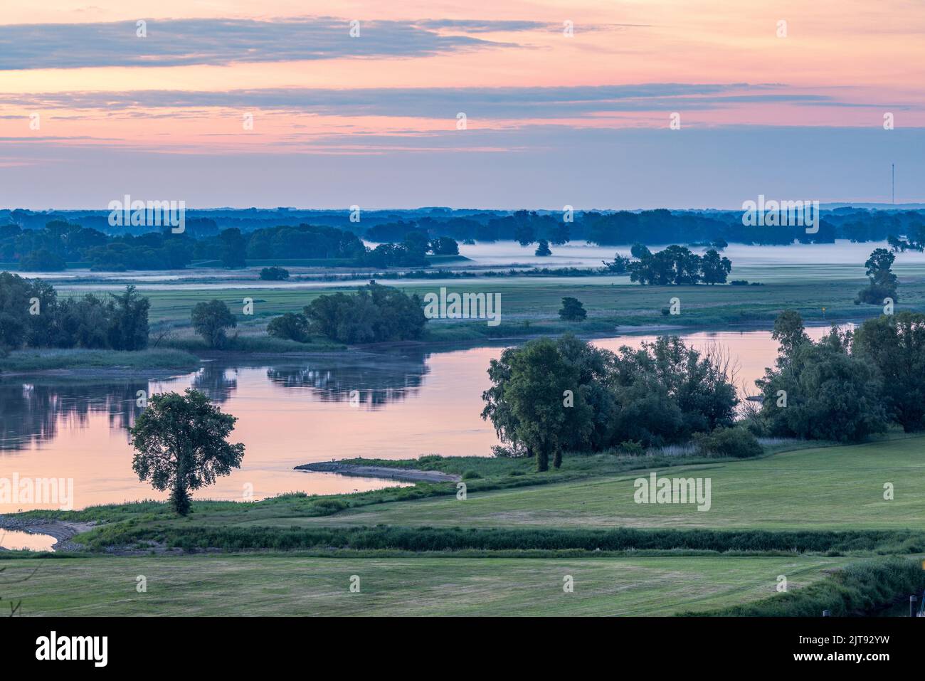 A scenic view of a reflective river and a foggy field with trees at ...