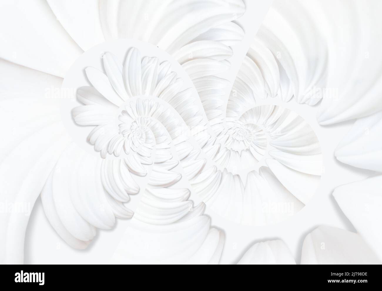 Abstract infinite loop background made from white daisy petals Stock ...
