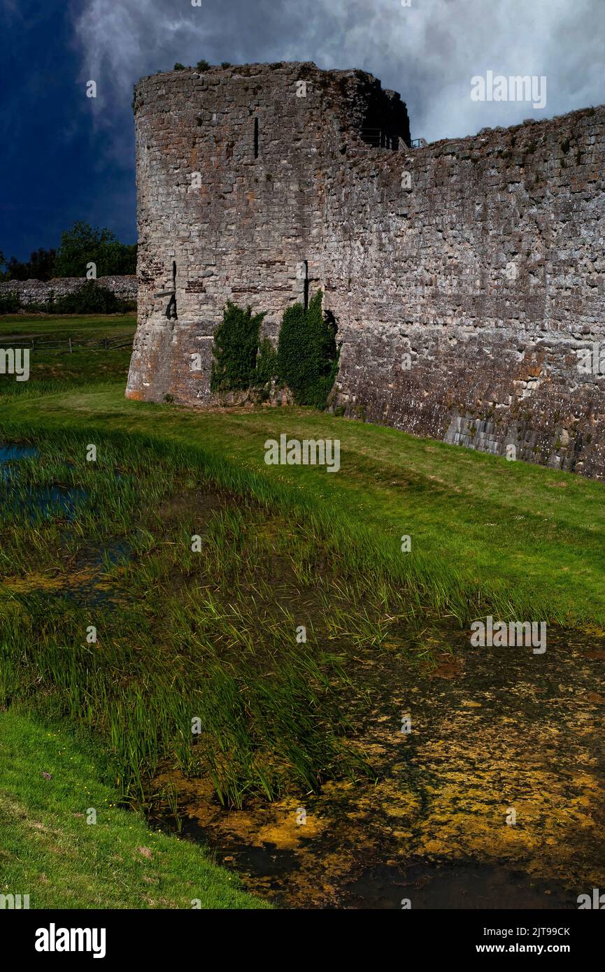 Water plants thrive in the deep moat curving around the north corner ...