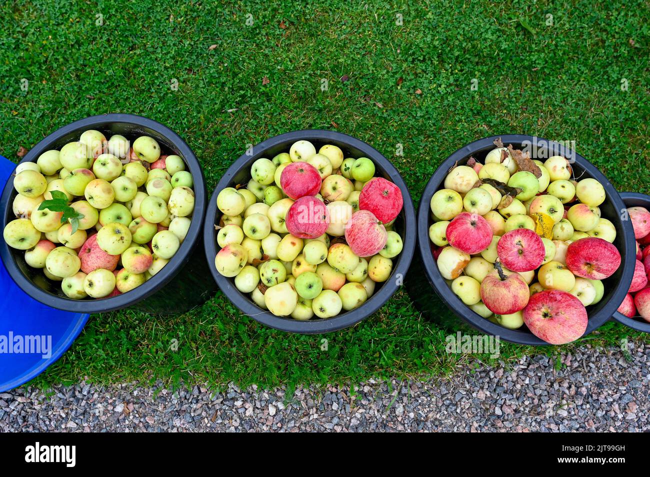 Buckets of apples hi-res stock photography and images - Alamy