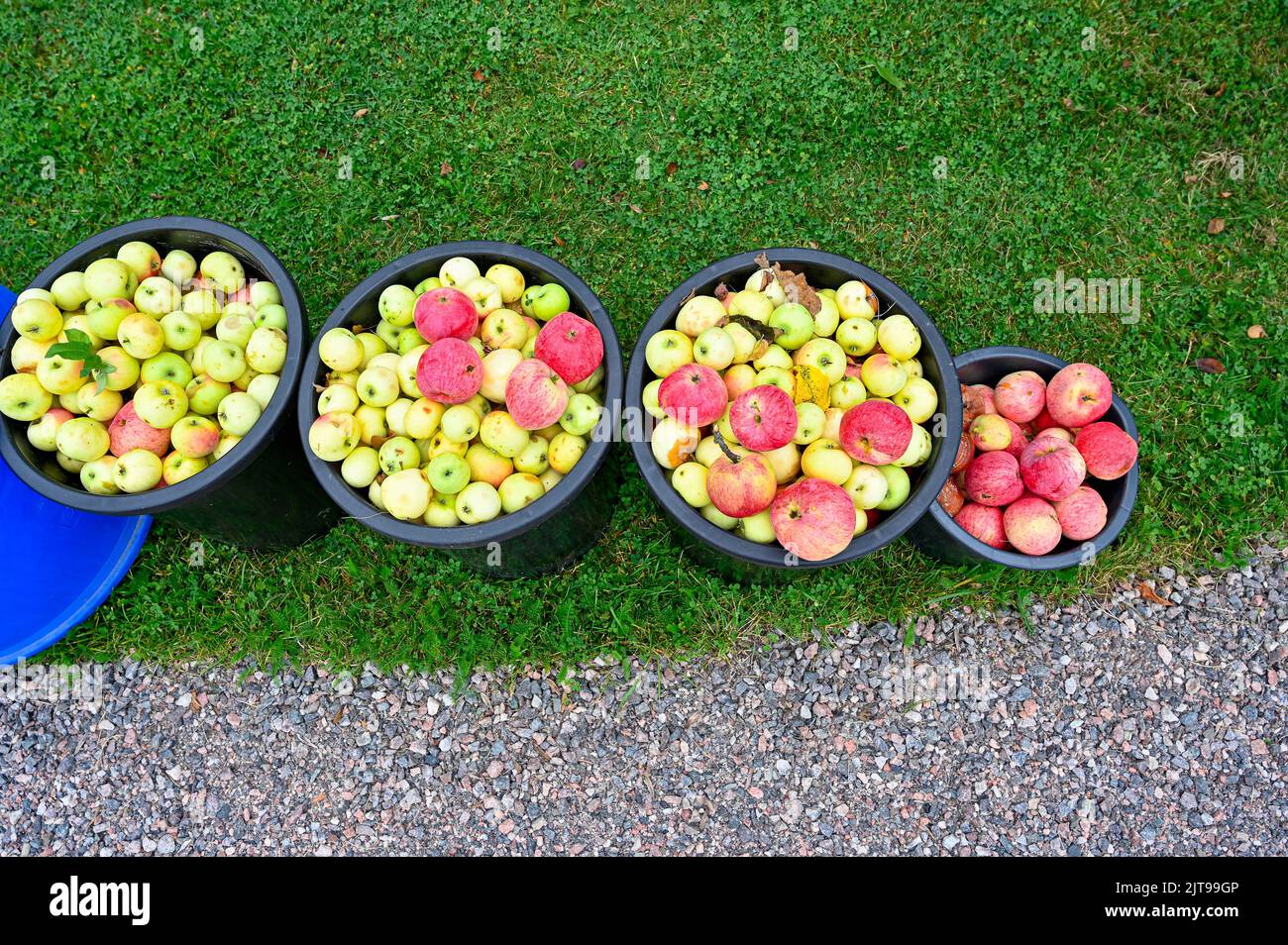 Buckets of apples hi-res stock photography and images - Alamy