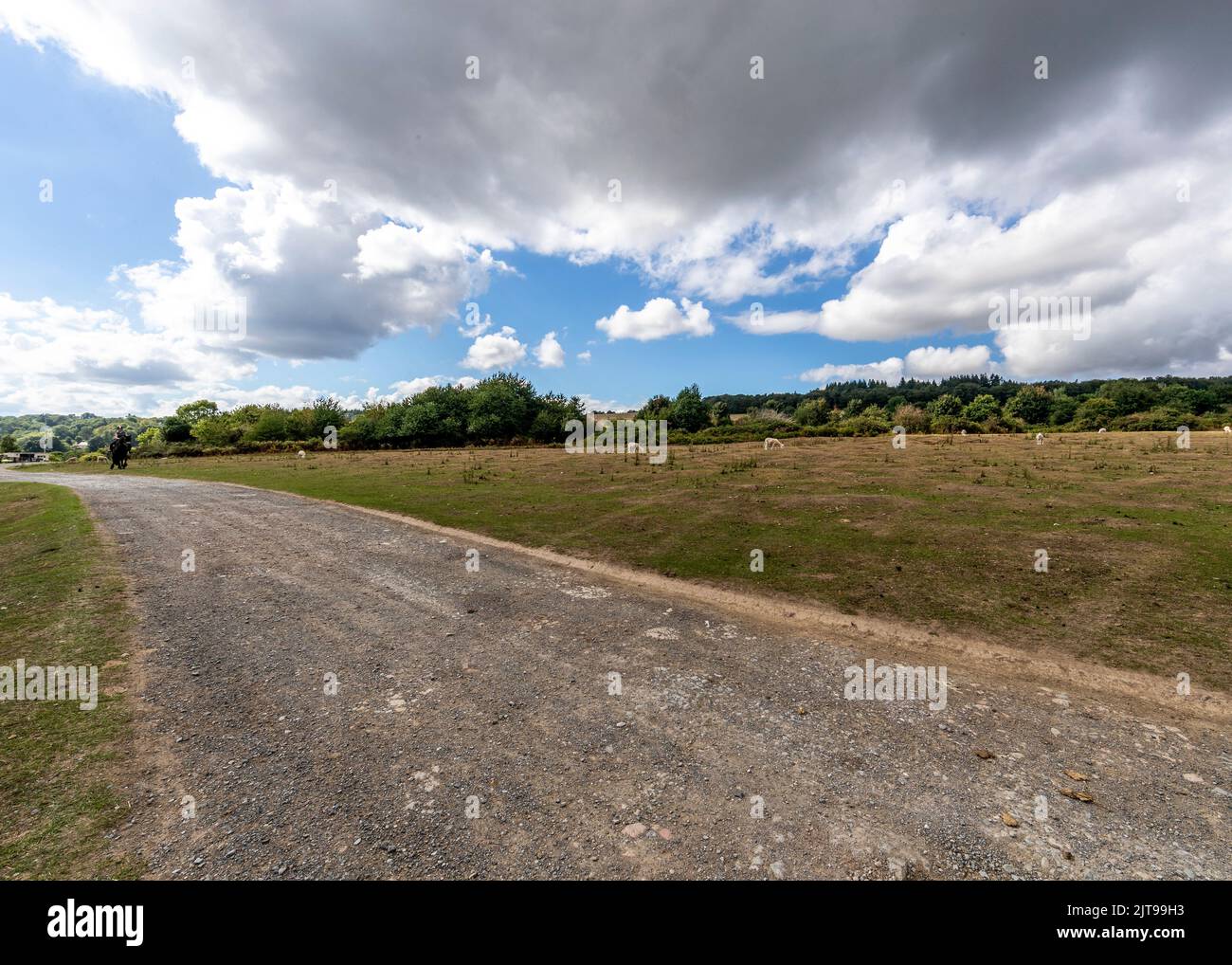 Adult female horse rider at Bircher Common, Herefordshire. UK Stock ...