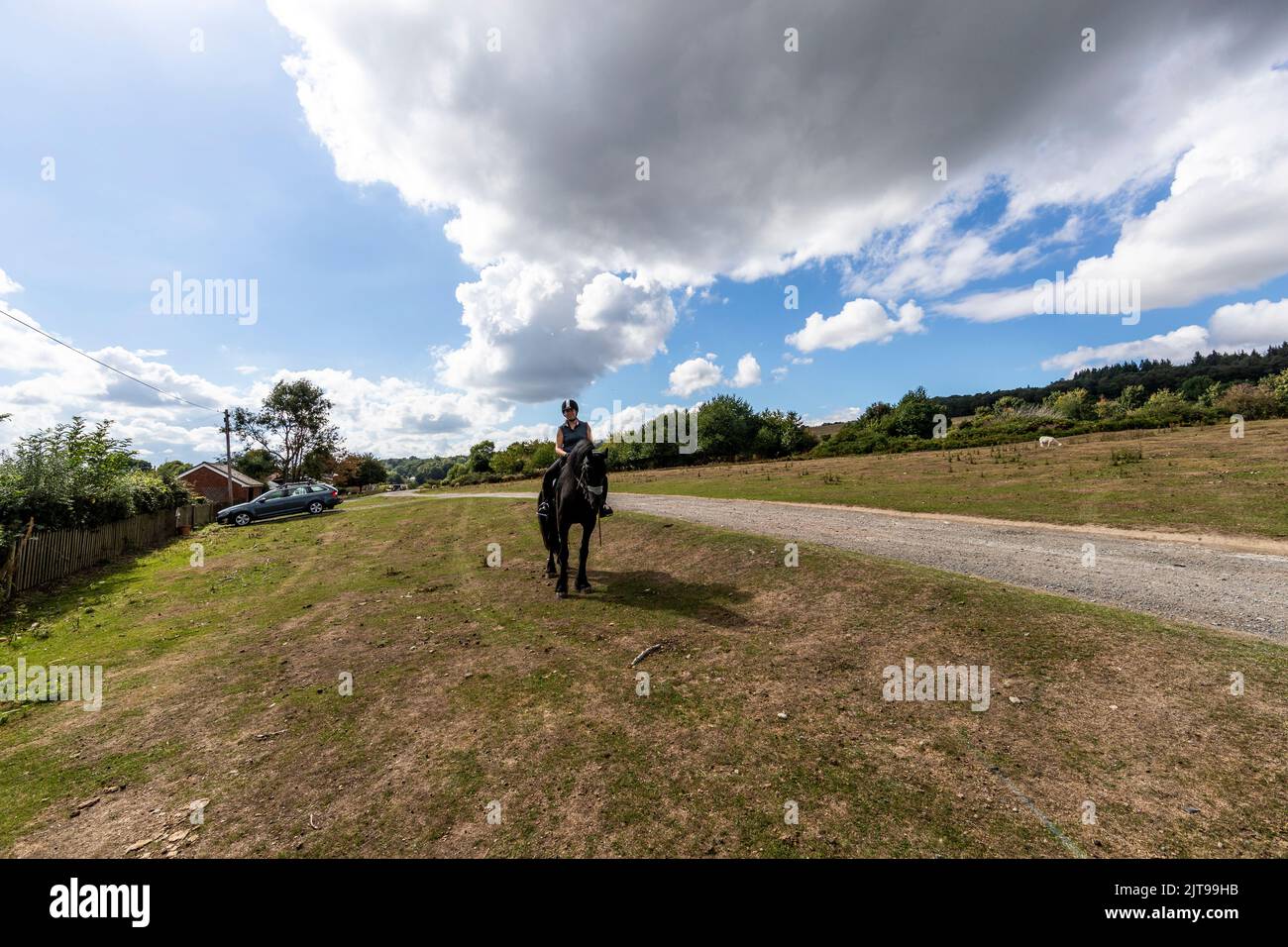 Adult female horse rider at Bircher Common, Herefordshire. UK Stock ...