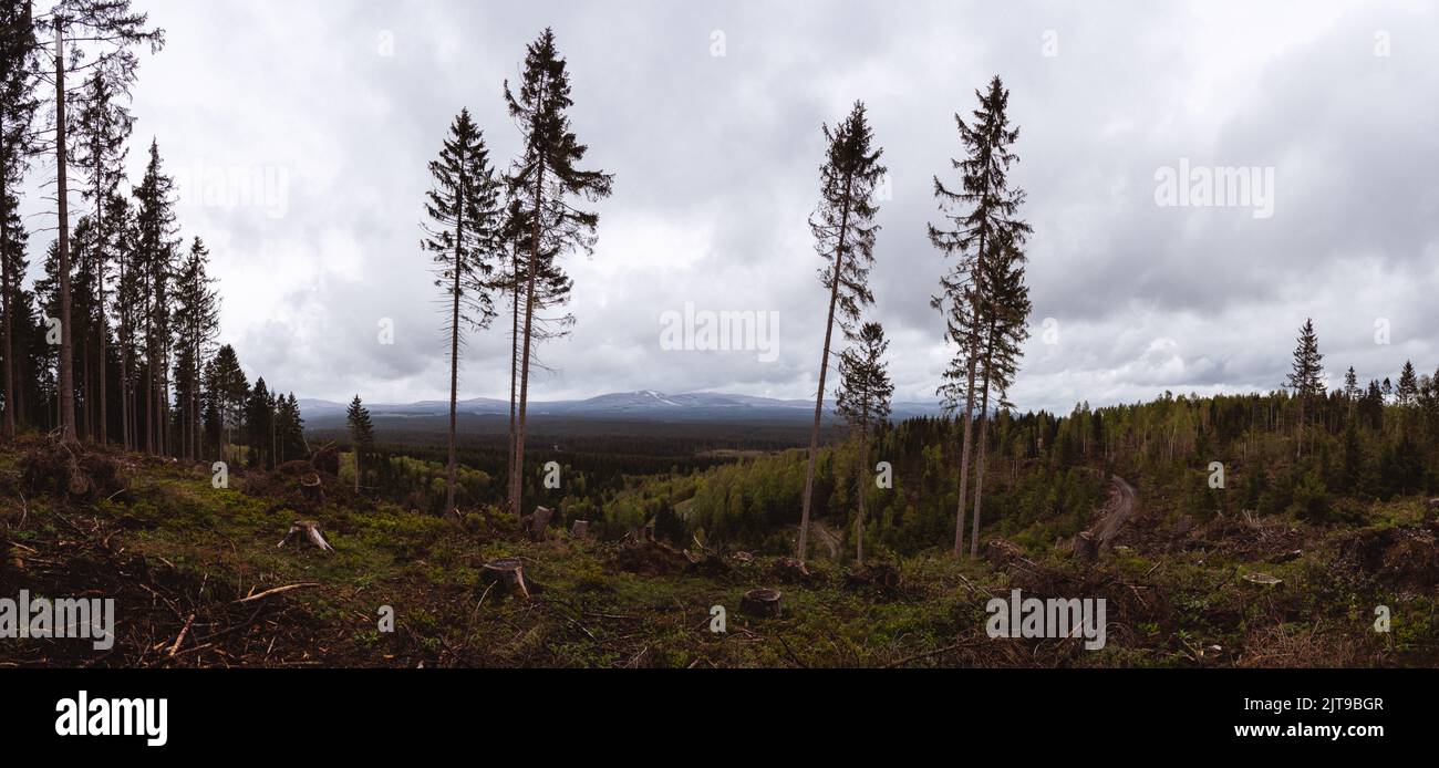The highland area of Harz in Germany Stock Photo - Alamy