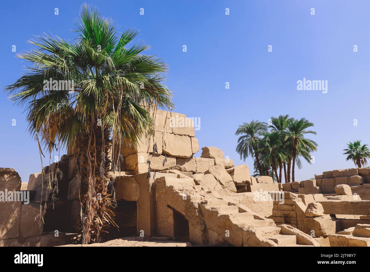 Ancient Egyptian Ruins of the Karnak Temple Complex with the Palm Trees ...