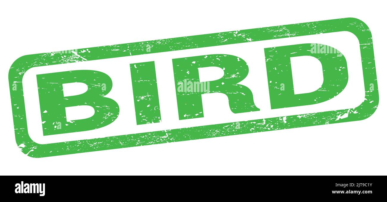 BIRD text written on green rectangle stamp sign Stock Photo - Alamy