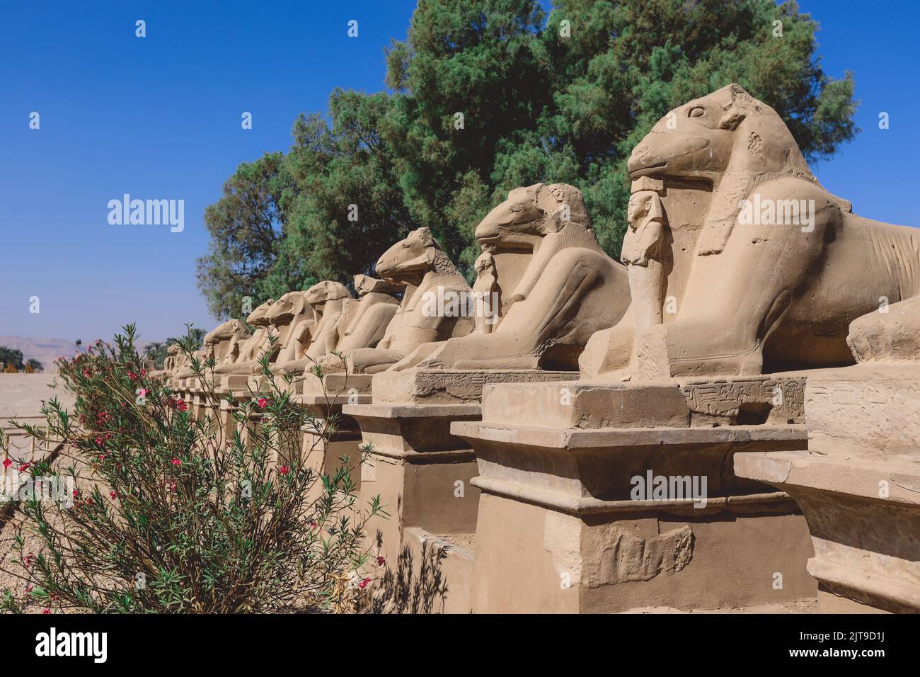 Ancient Ram Headed Sphinx statues at Karnak Temple Complex near Luxor ...