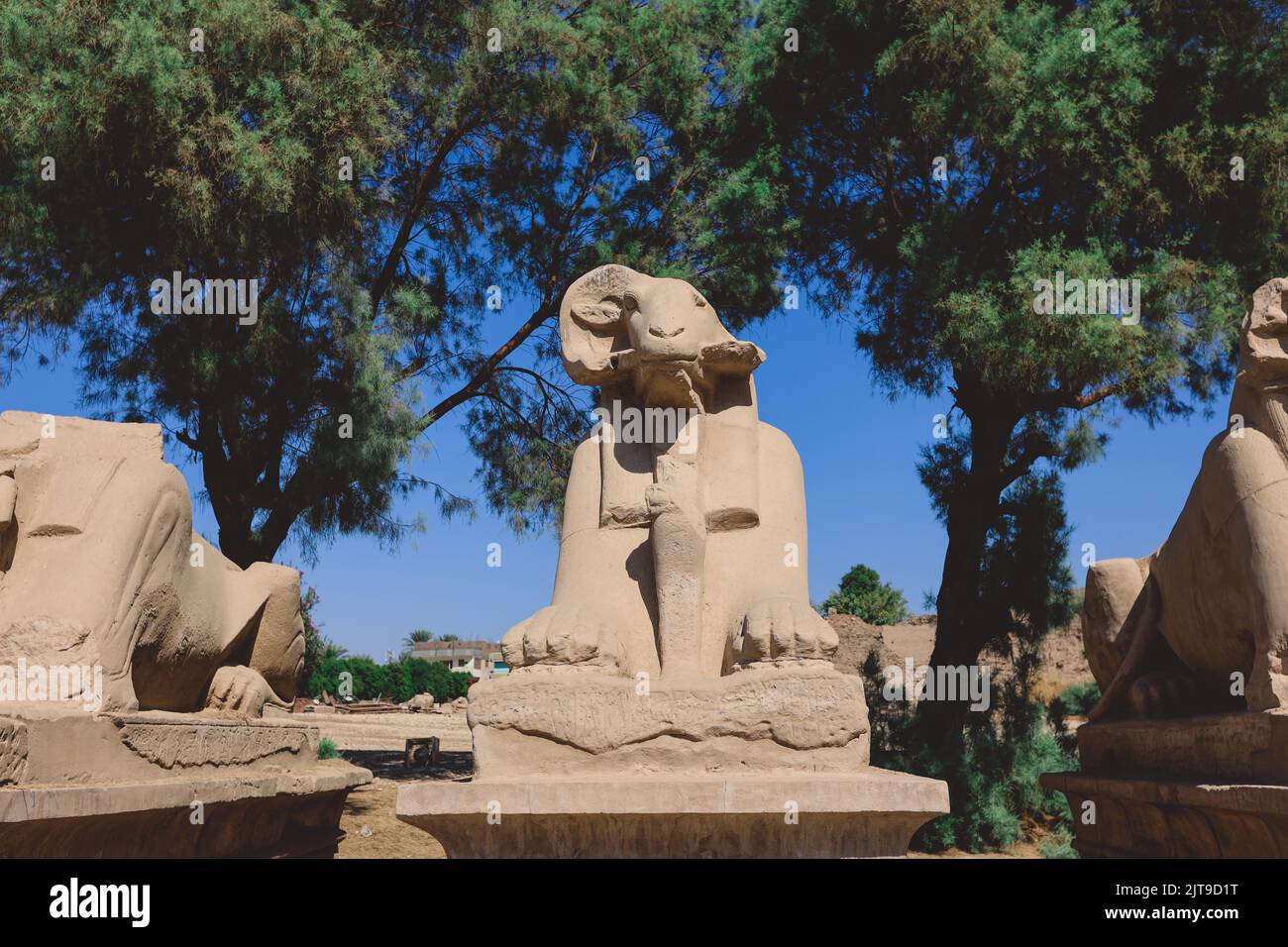 Ancient Ram Headed Sphinx statues at Karnak Temple Complex near Luxor ...