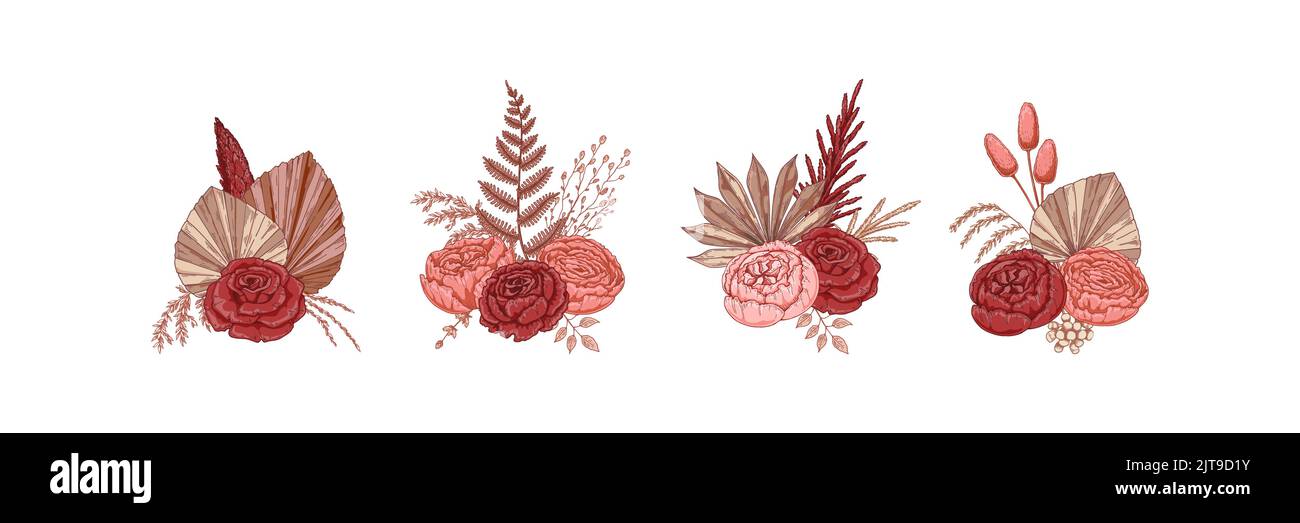Set of modern dried flowers compositions. Boho bouquets. Hand drawn vector illustration Stock ...