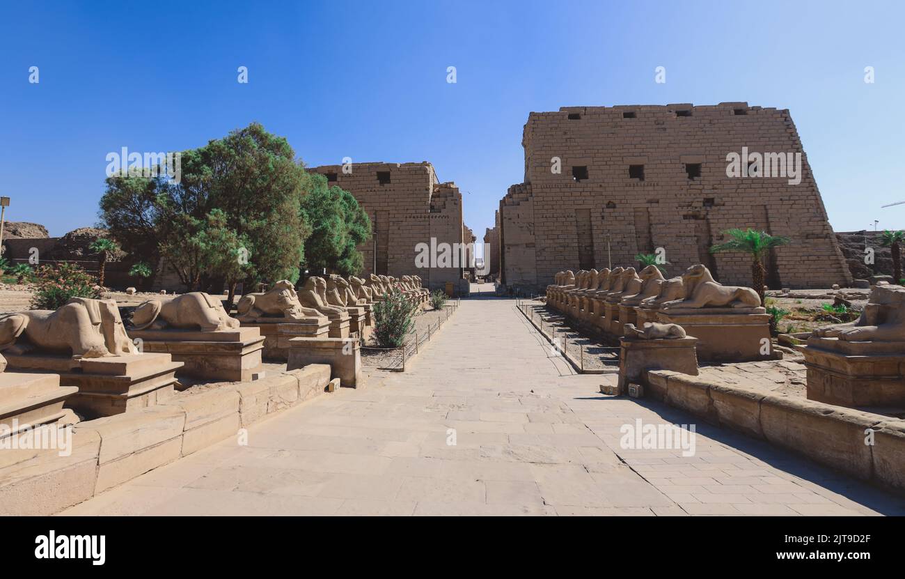 Ancient Ram Headed Sphinx statues at Karnak Temple Complex near Luxor ...