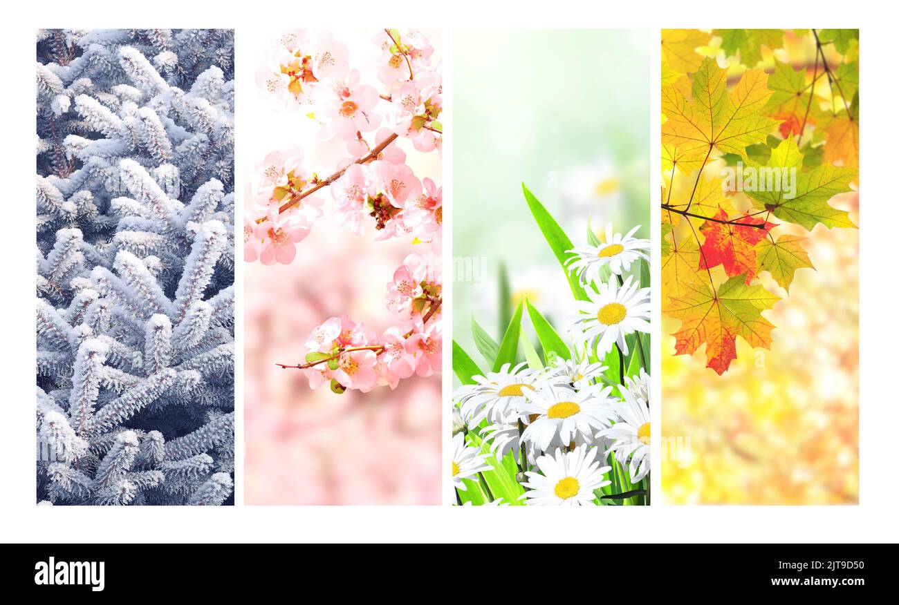 Four seasons of year. Set of vertical nature banners with winter ...