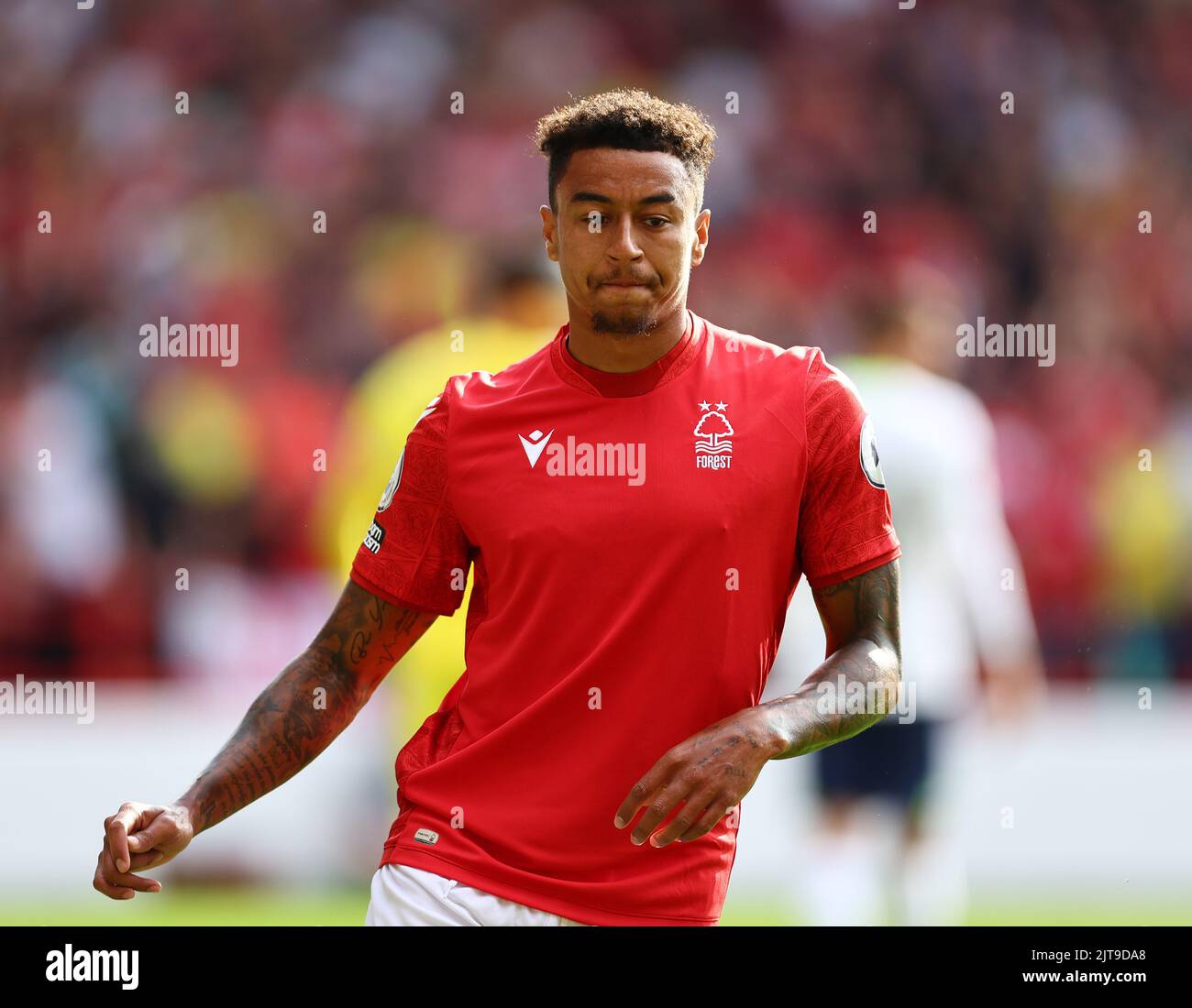 Jesse lingard forest hi-res stock photography and images - Alamy