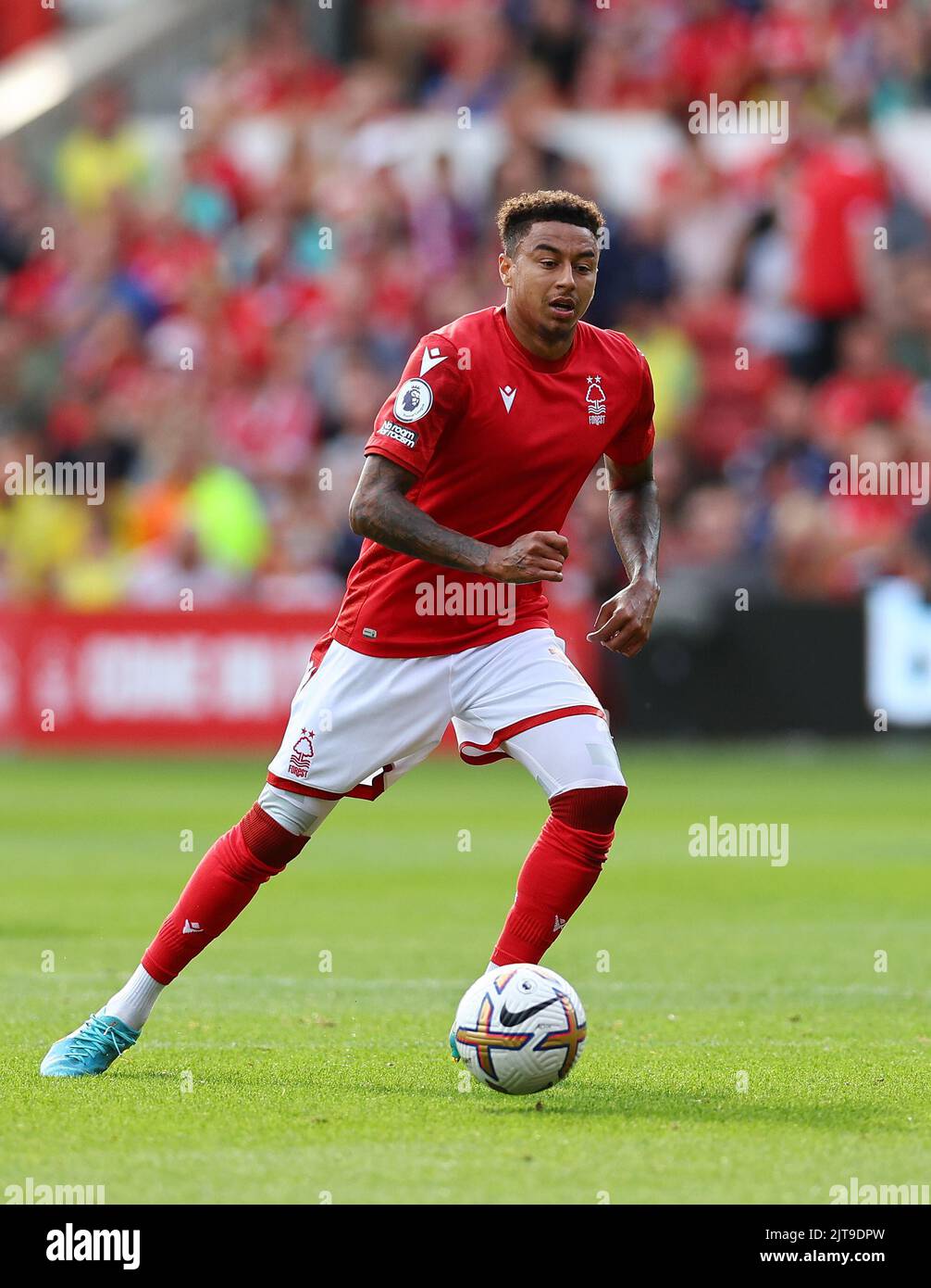 Jesse lingard forest hi-res stock photography and images - Alamy