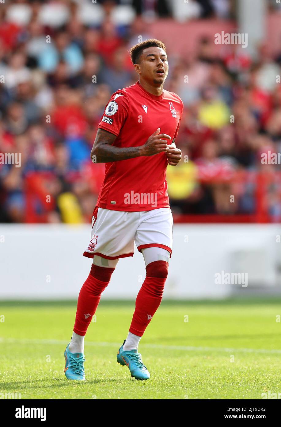 Jesse lingard forest hi-res stock photography and images - Alamy