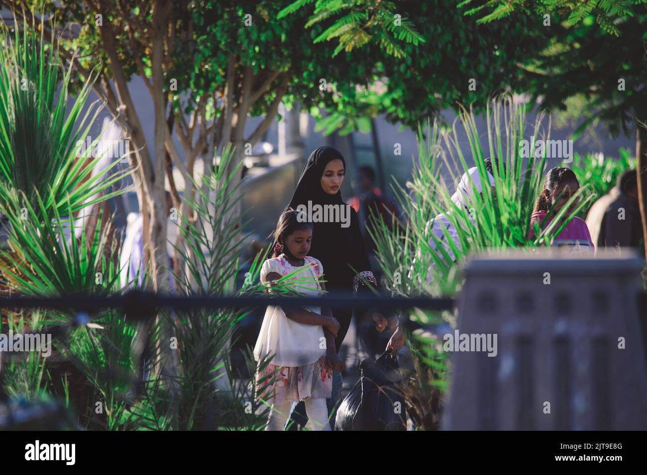 Ferry egypt arab man hi-res stock photography and images - Alamy