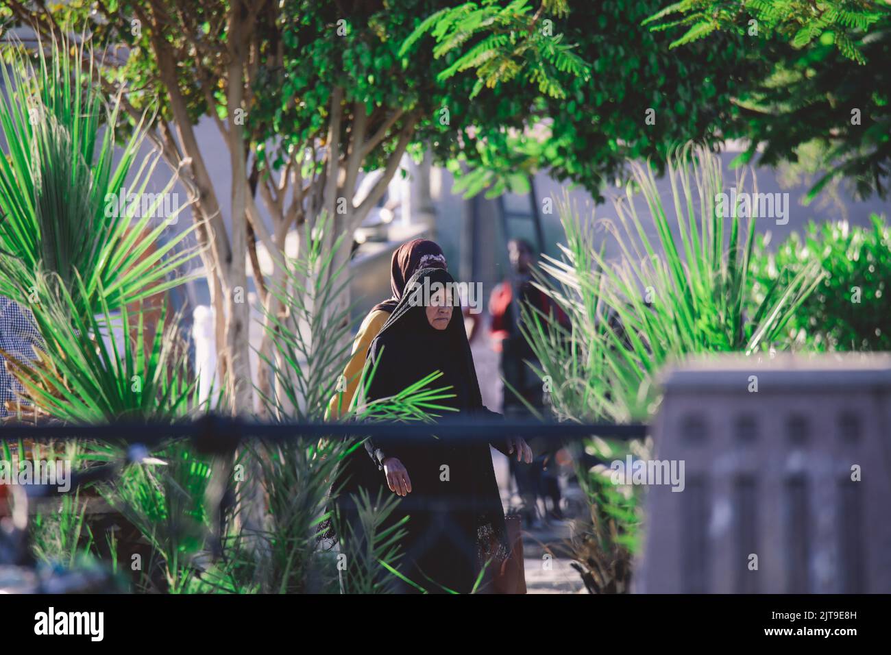 Ferry egypt arab man hi-res stock photography and images - Alamy