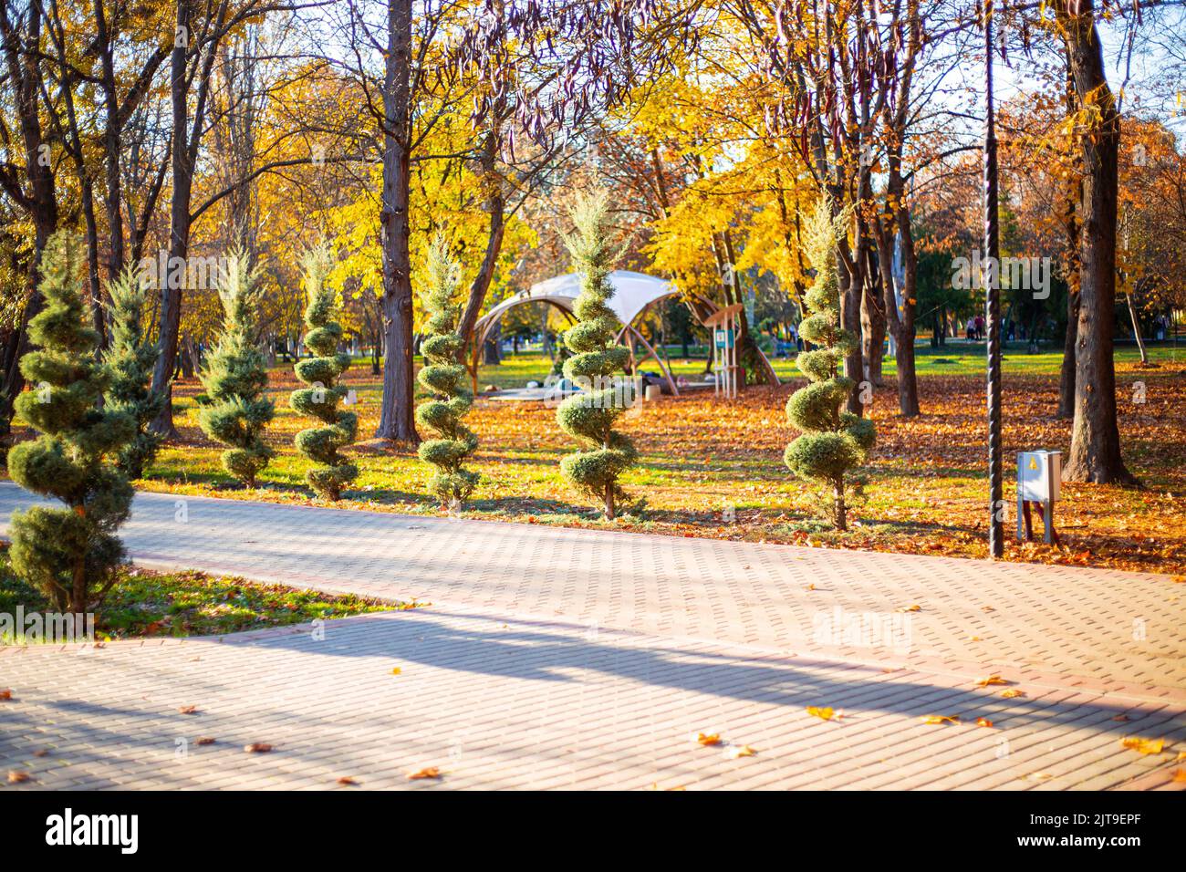Fancy trees hi-res stock photography and images - Alamy