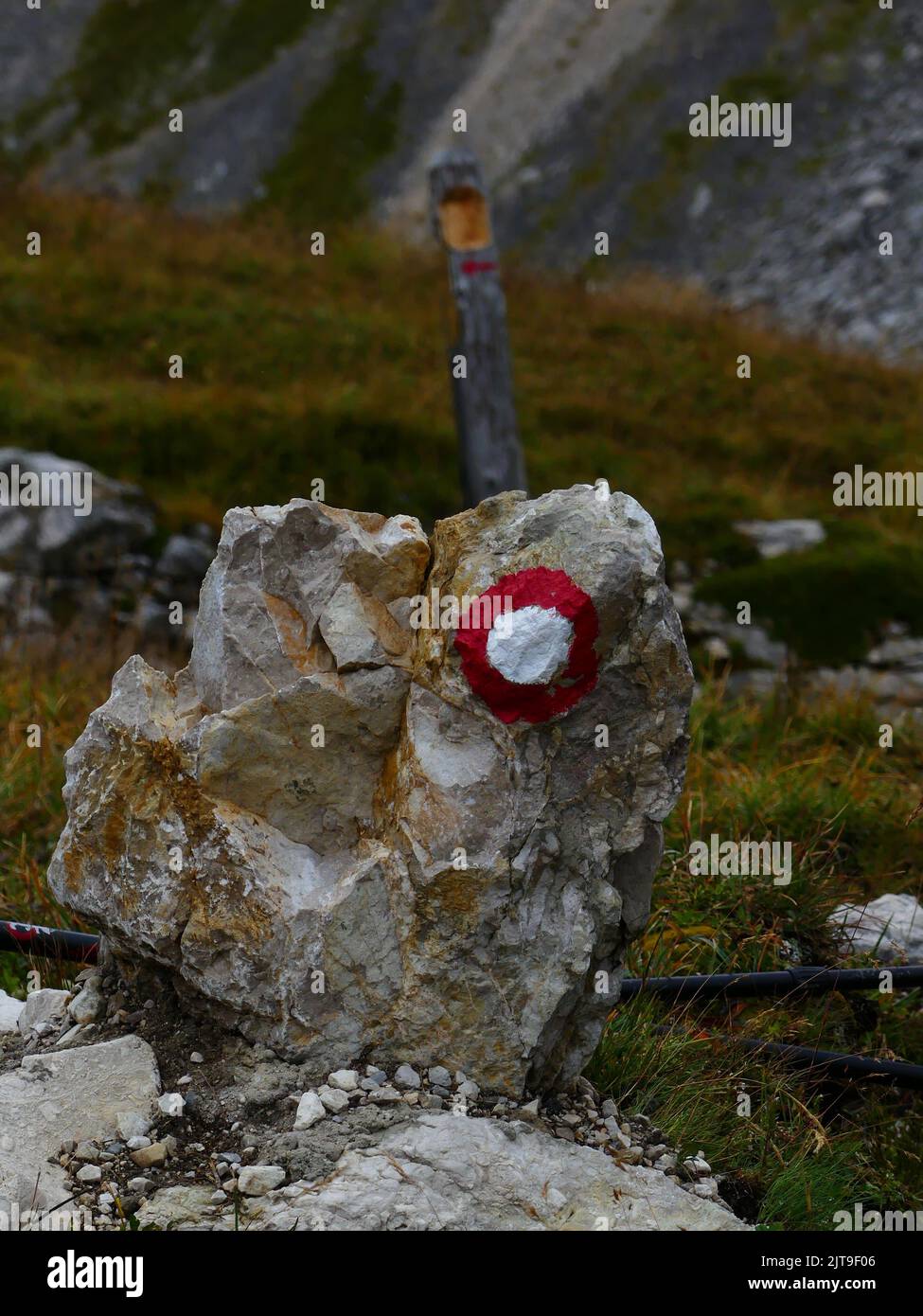 Scout symbol hi-res stock photography and images - Alamy