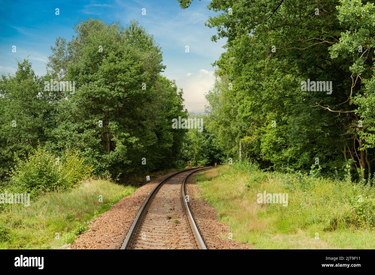 Railroad in summer forest Stock Photo - Alamy
