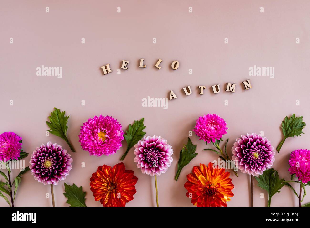 top view of the floral border of autumn multicolored flowers and text ...