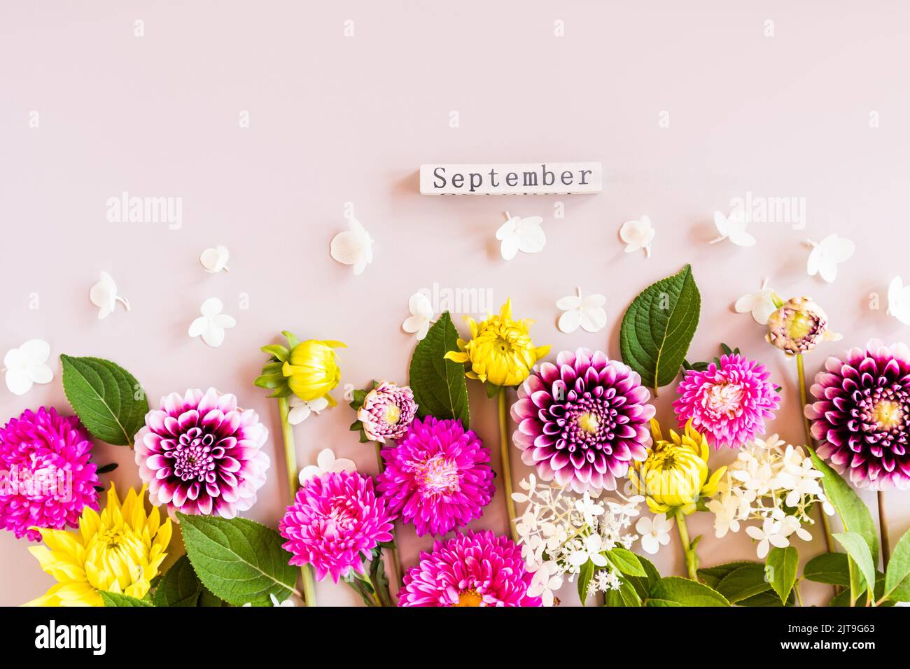 autumn bright cut flowers in a floral composition on a beige background ...
