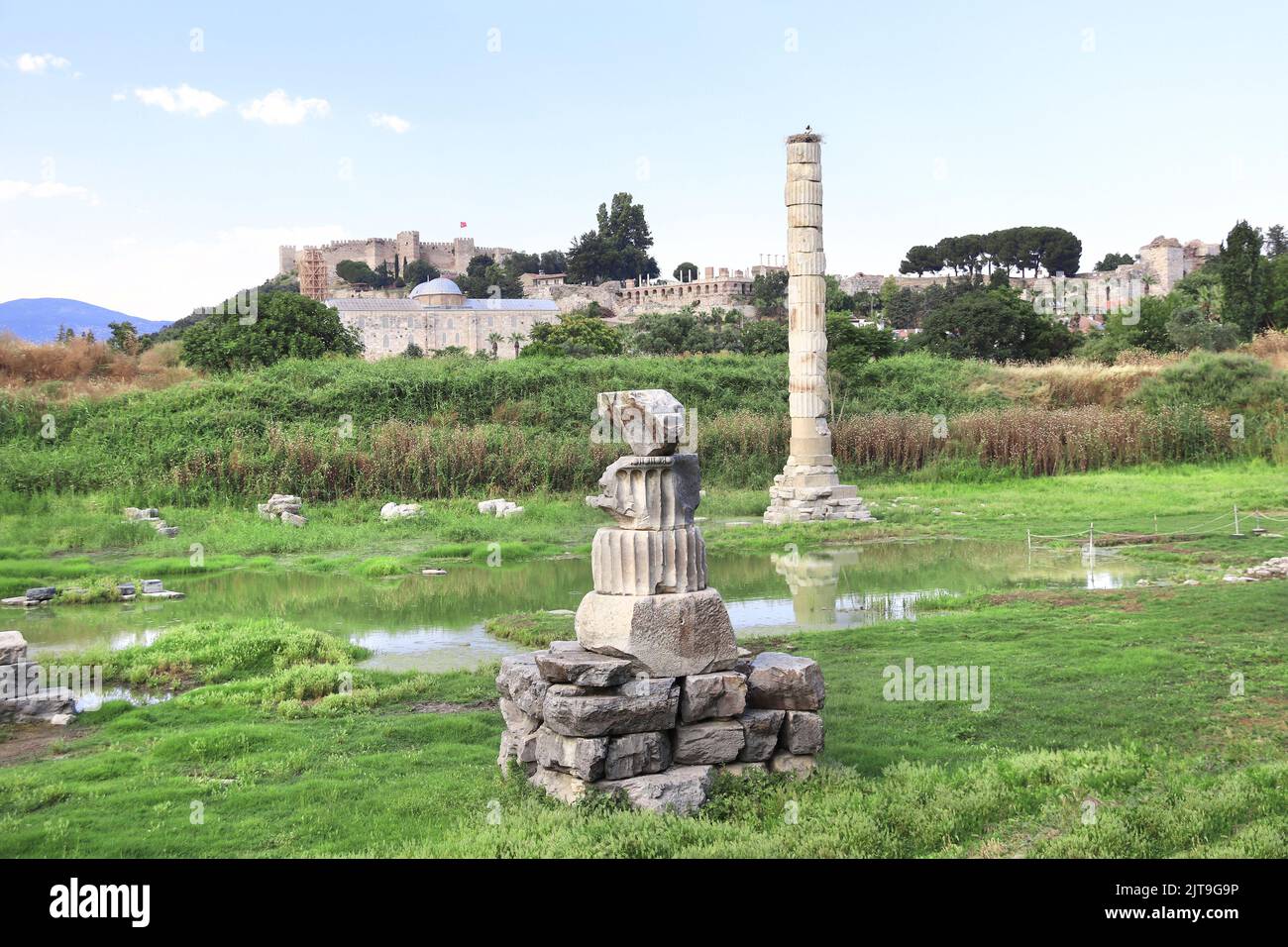 Column and ruins of Temple of Artemis Ephesus, one of the seven wonder ...