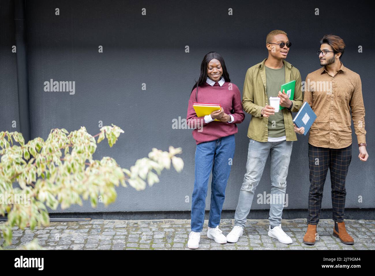 Multiracial students stand and look at camera Stock Photo - Alamy