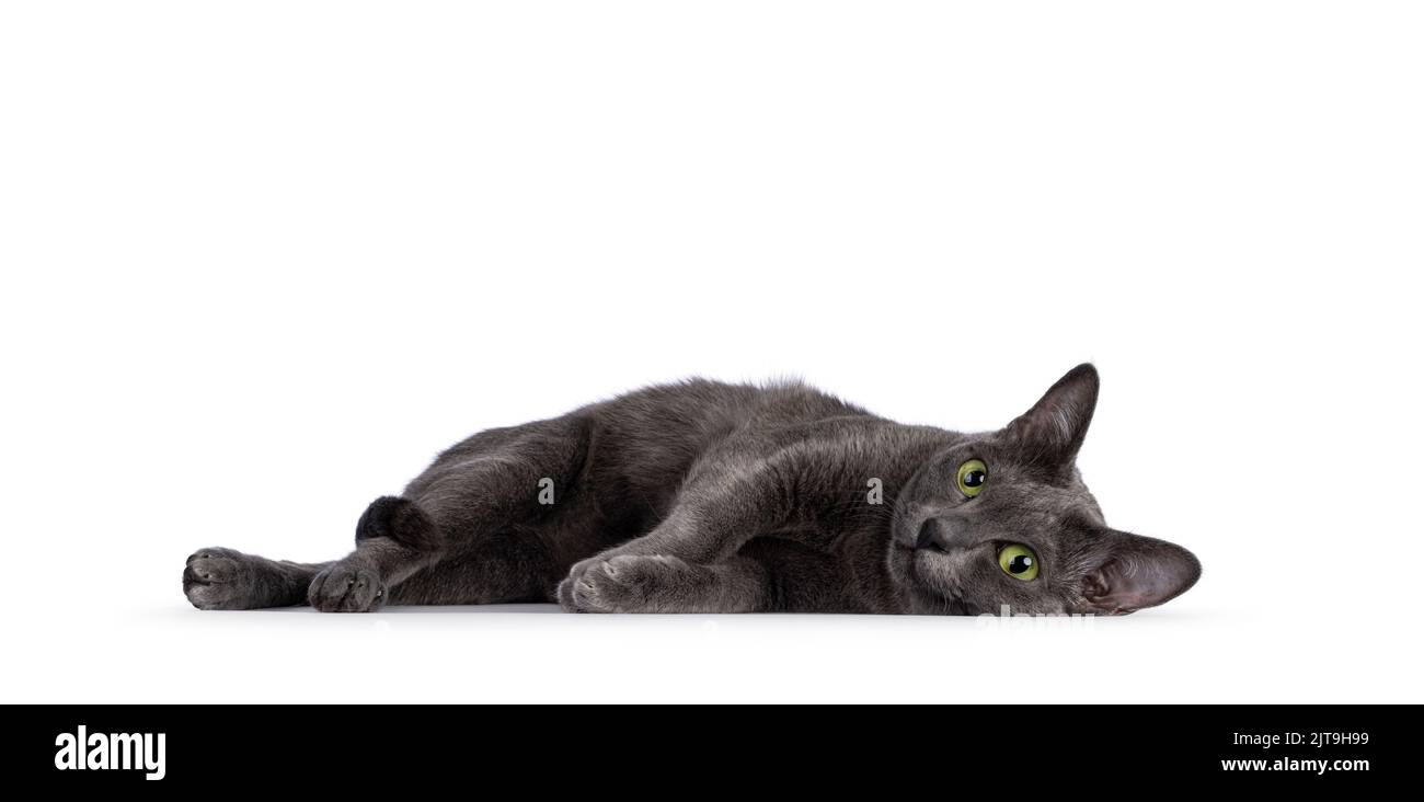 Short side straight Cut Out Stock Images & Pictures - Alamy