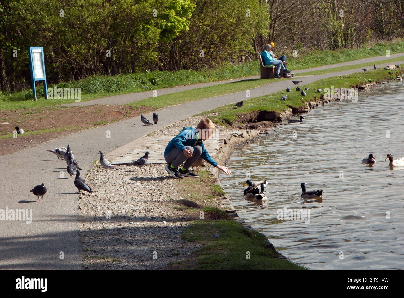 CORNWALL; BUDE; CANALSIDE WALK Stock Photo - Alamy