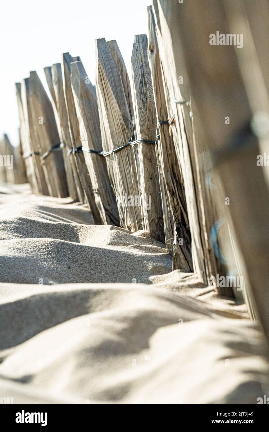 A vertical shot of wooden sticks stuck in the sand on a beach Stock ...