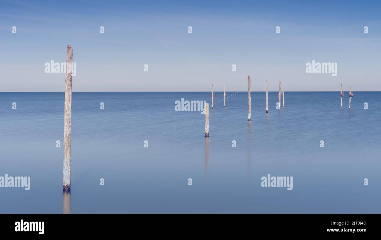 Long wooden barrier sticks in the lake Stock Photo - Alamy