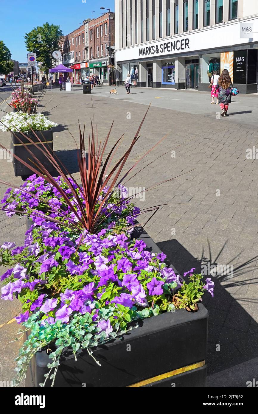 Colourful summer flowers in long row of rectangular planter boxes ...