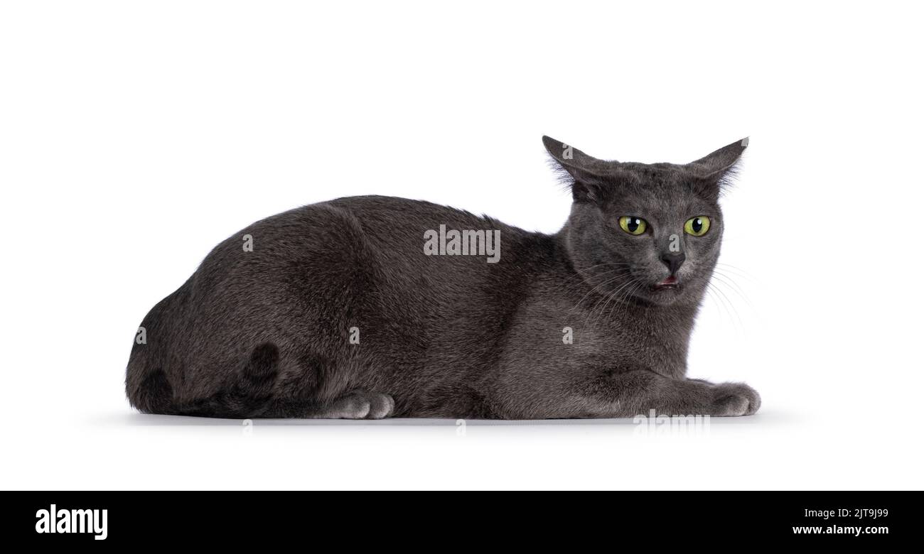 Eyes back funny Cut Out Stock Images & Pictures - Alamy