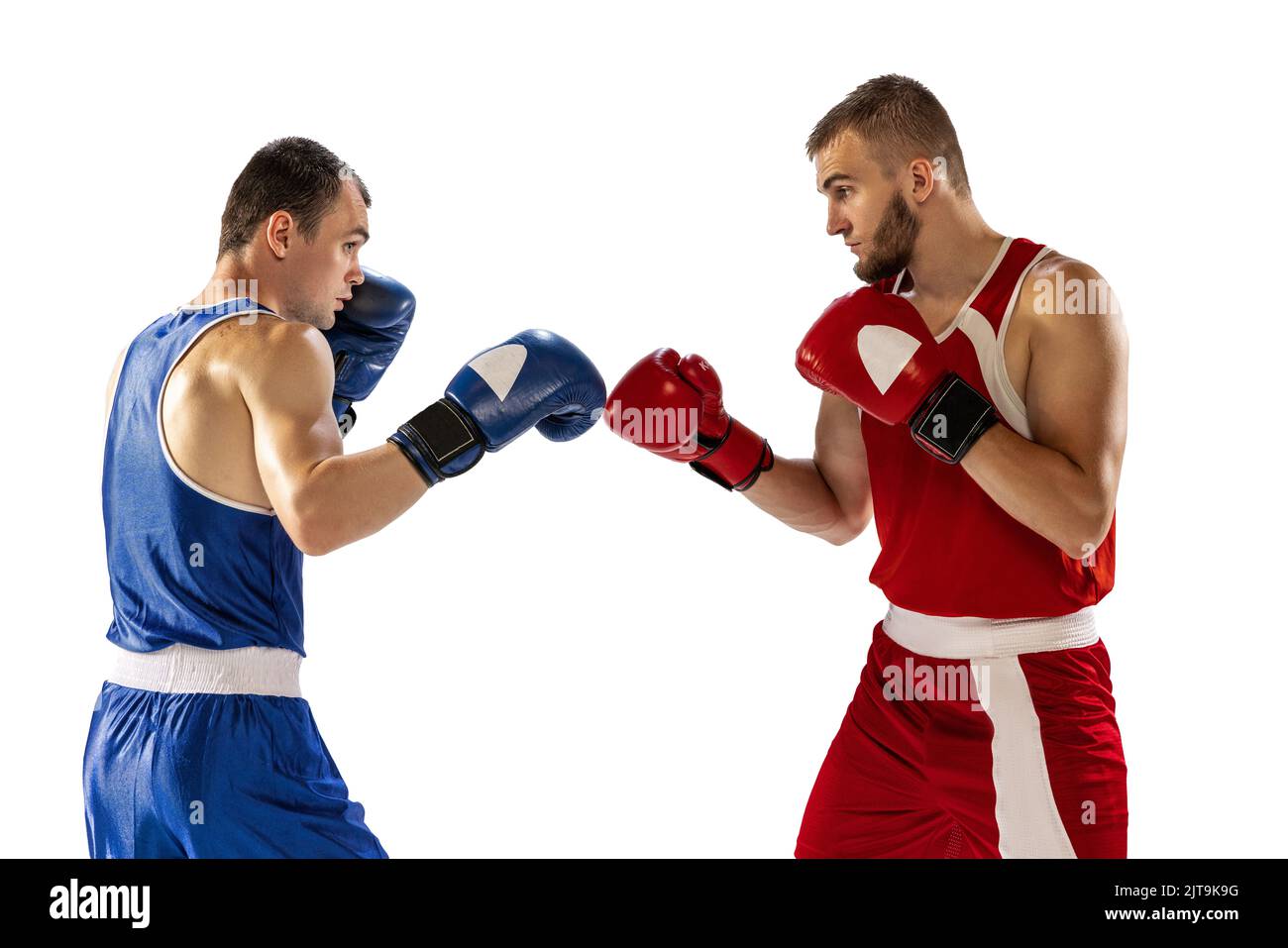 Dynamic portrait of two professional boxer in sports uniform boxing ...