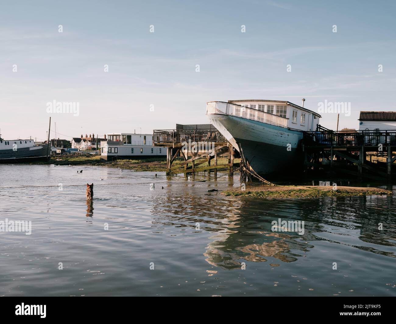The summer houseboat landscape of West Mersea, Mersea Island, Essex ...