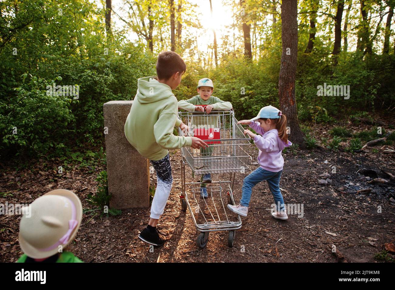 Kids with trolley having fun in forest Stock Photo - Alamy