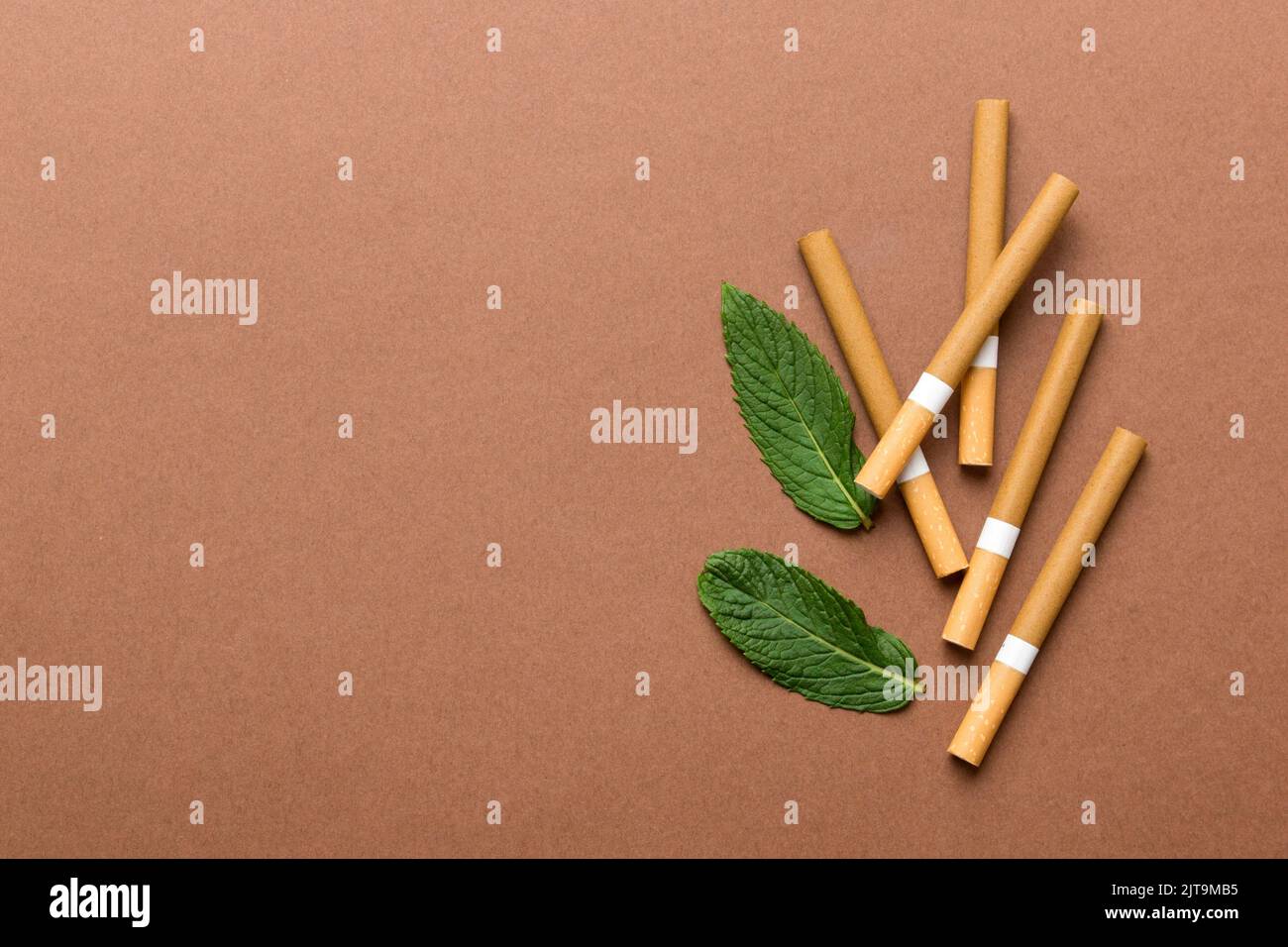 Menthol cigarettes and fresh mint leaves on colored background, Many ...